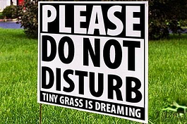 3M Scotchcal 50 series | Nautasign